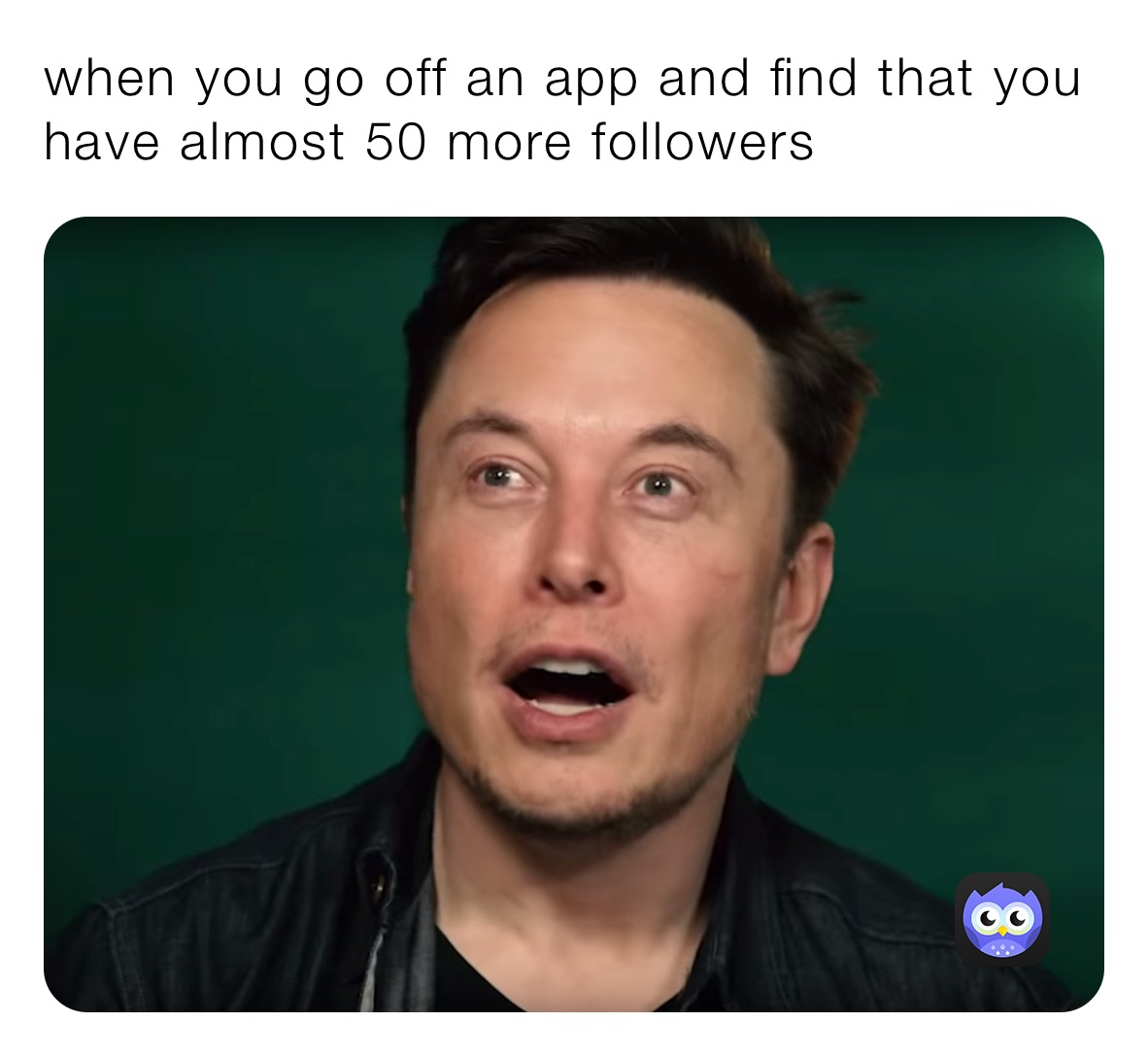 when you go off an app and find that you have almost 50 more followers ...