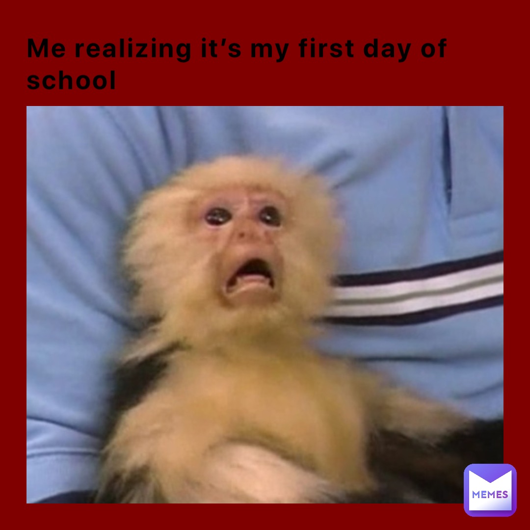 Me realizing it’s my first day of school | @puppymemez | Memes