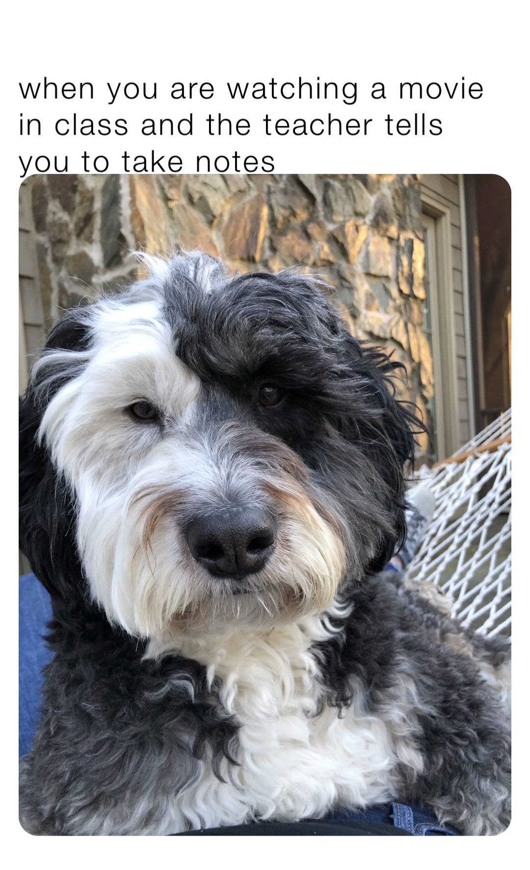 when you are watching a movie in class and the teacher tells you to ...