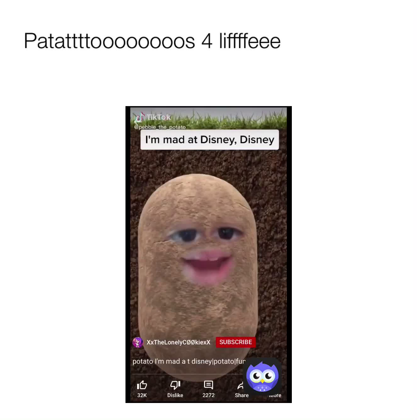 Post by @Mia_reeeeeeeee | Memes