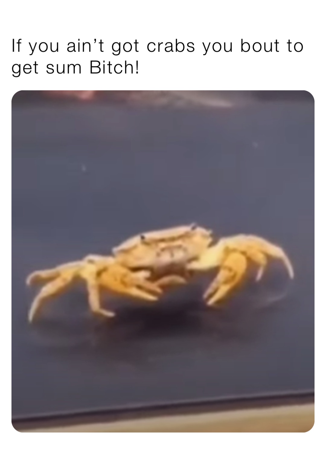 If you ain’t got crabs you bout to get sum Bitch! | @He_Hate_Me_Anyways ...