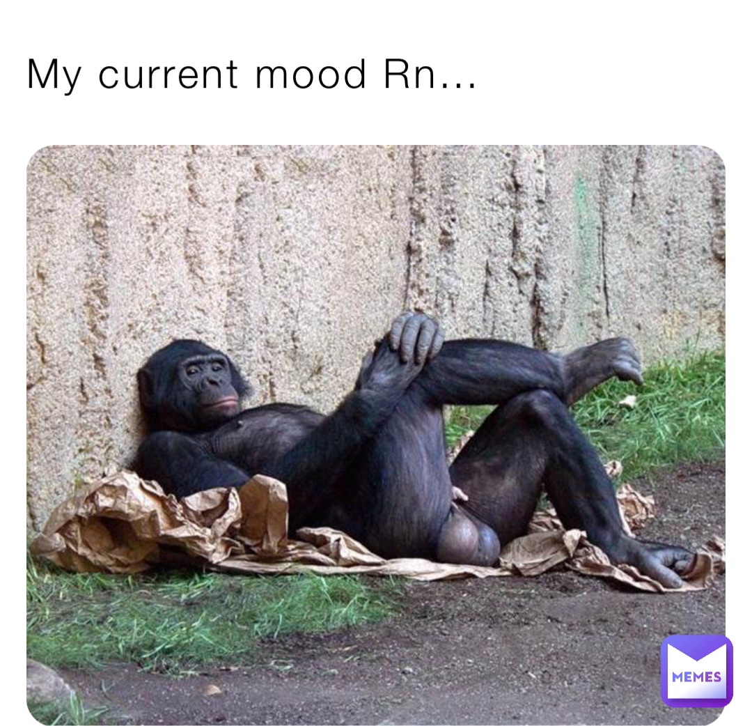 My Current Mood Meme