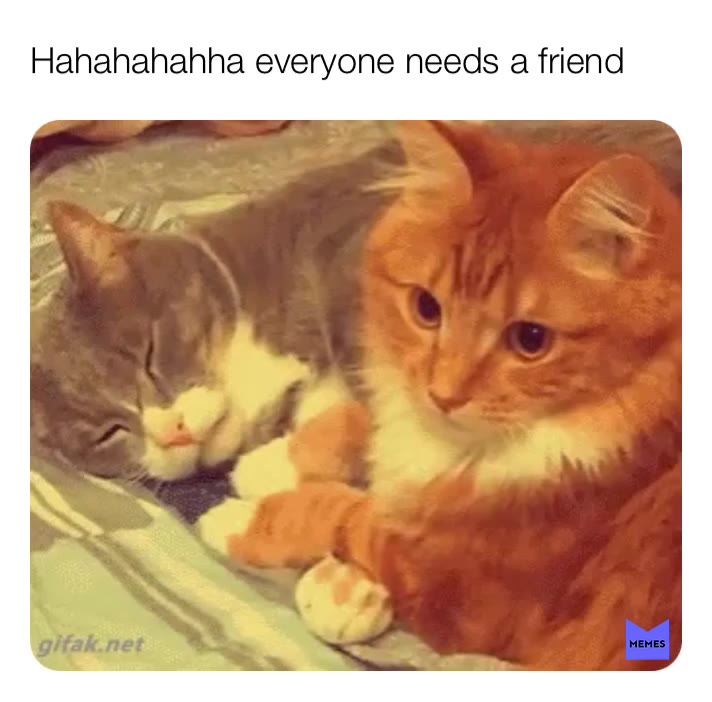 Post by @best_memer_ever | Memes