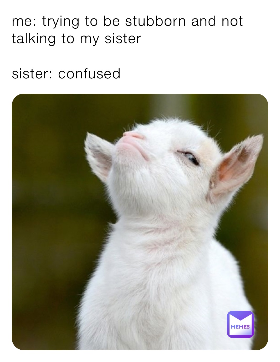 me: trying to be stubborn and not talking to my sister sister: confused ...