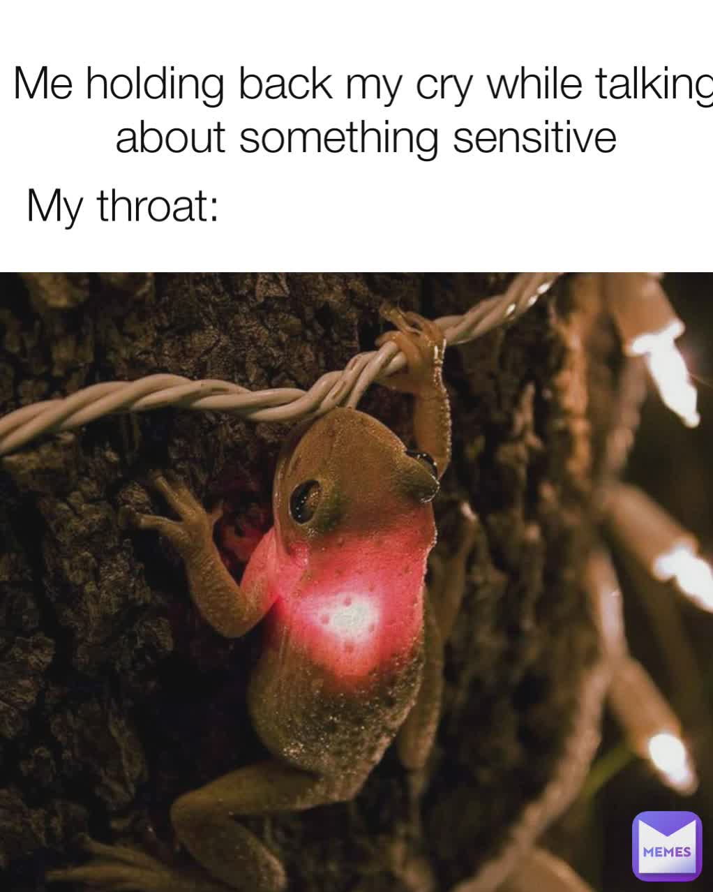 My throat: Me holding back my cry while talking about something ...