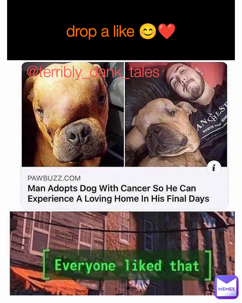 drop a like 😊 ️ @terribly_dank_tales | @UNO_BIHARI | Memes