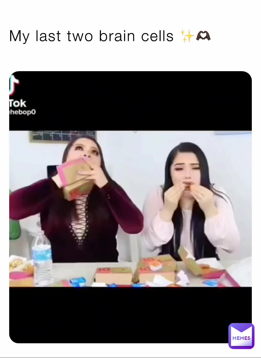 My last two brain cells 🫶🏿 | @JOJO_Dilf_lover_7 | Memes