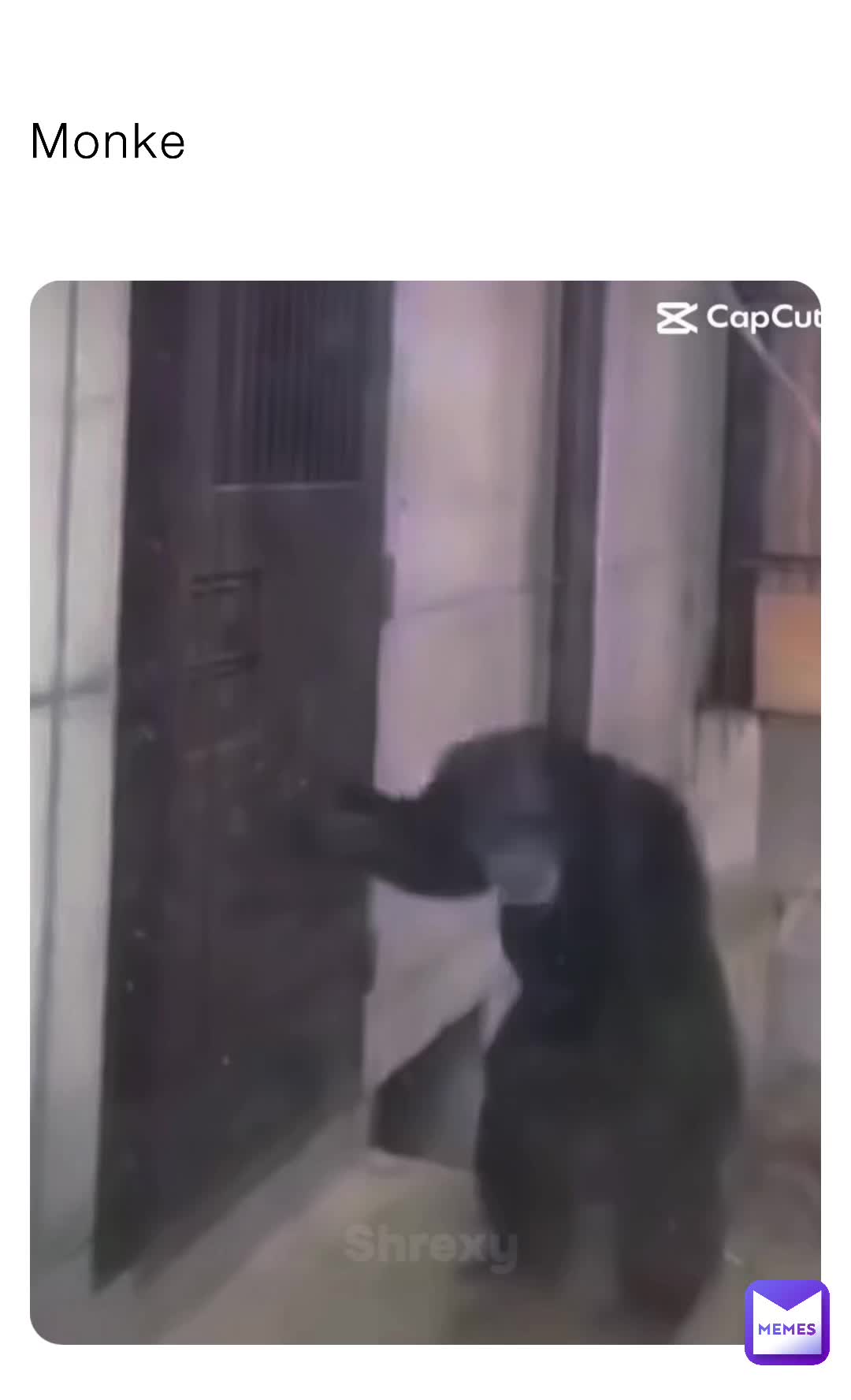 Monke | @luv.bxlls | Memes