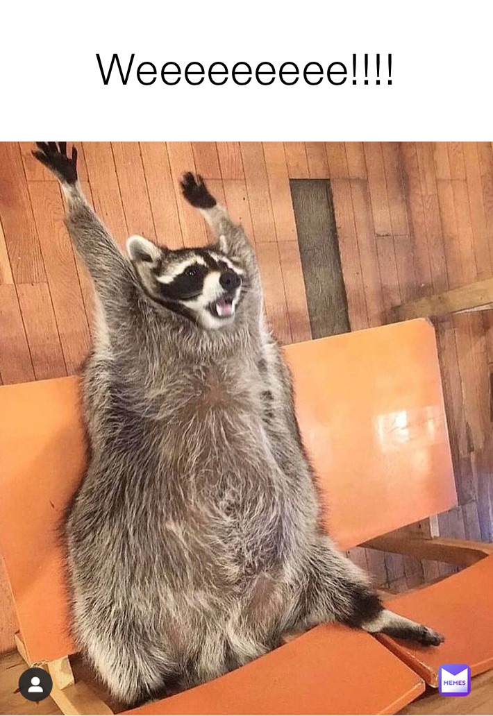 Weeeeeeeee!!!! | @lamapachekrash | Memes