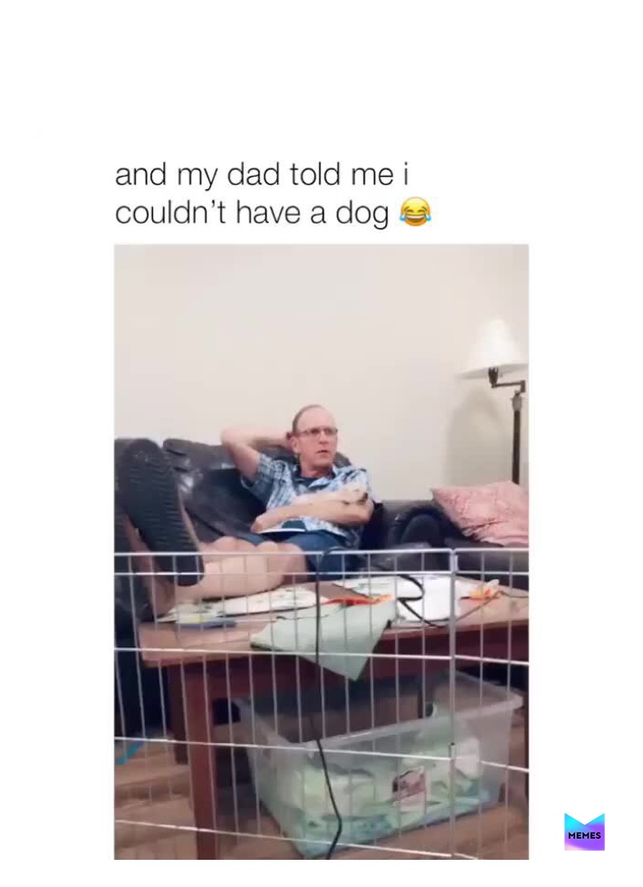 Post by @kyleigh_weirdo | Memes