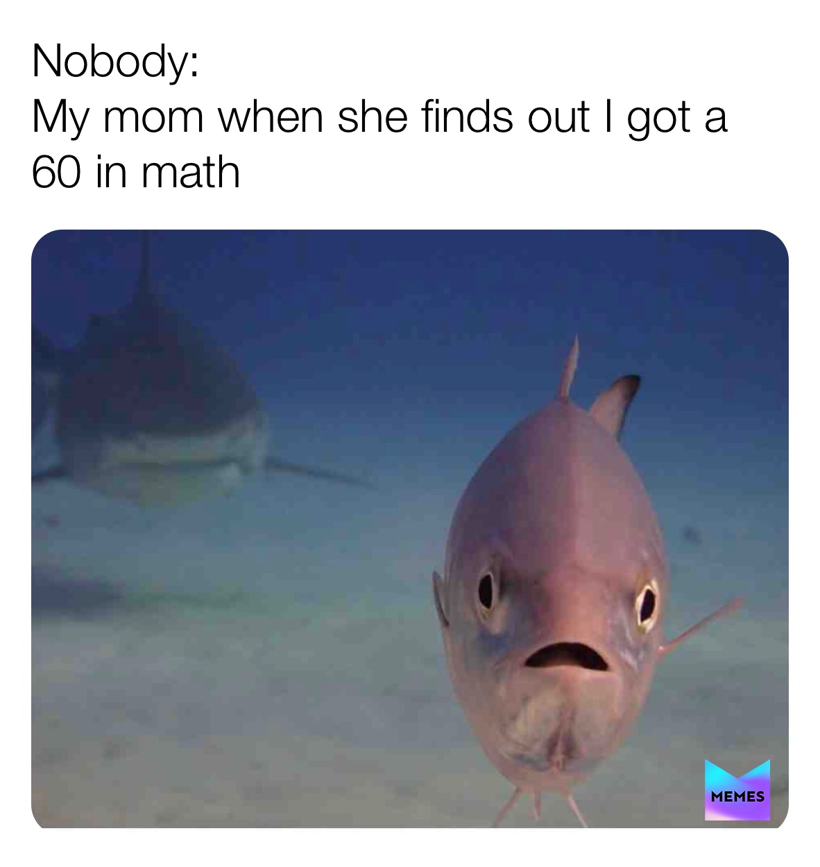 Post by @cams_memes | Memes