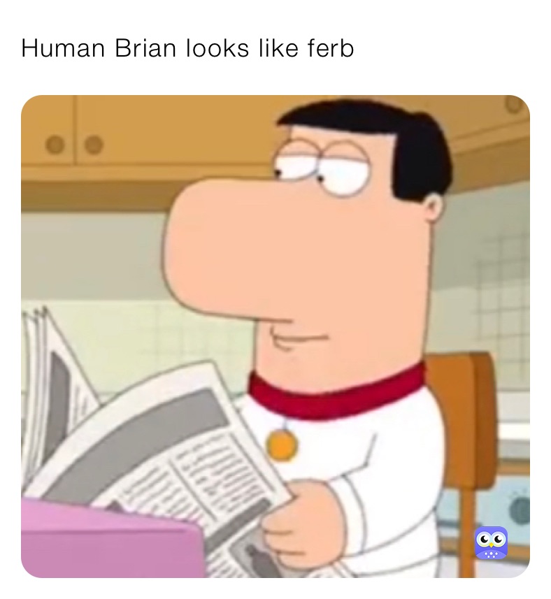 Human Brian looks like ferb | @haxour_squad03 | Memes