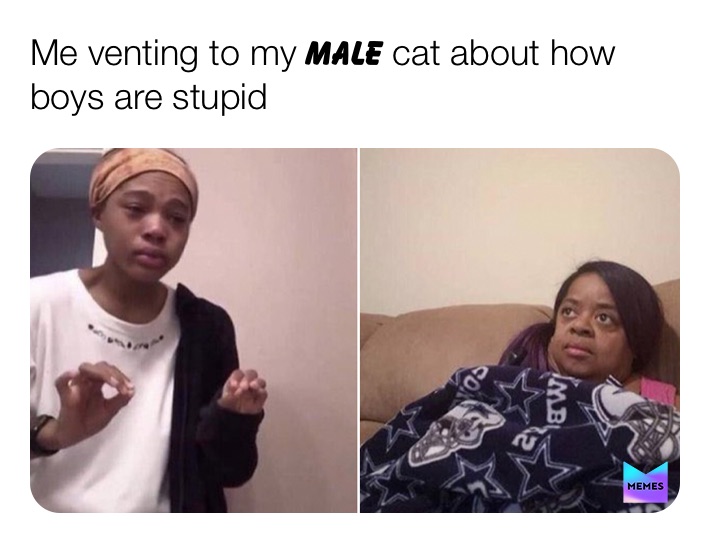 Post by @stoned_hamster | Memes