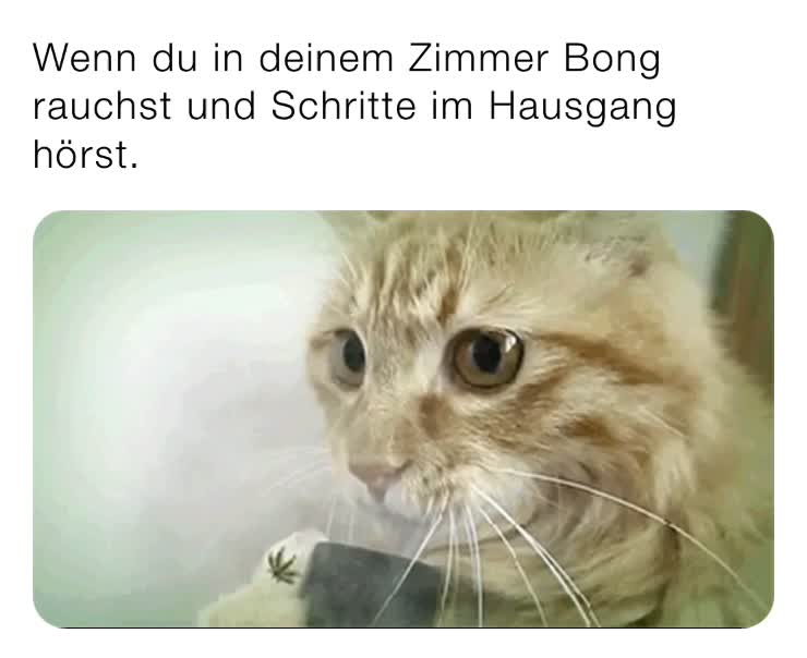 Wenn du in deinem Zimmer Bong rauchst und Schritte im Hausgang hörst ...