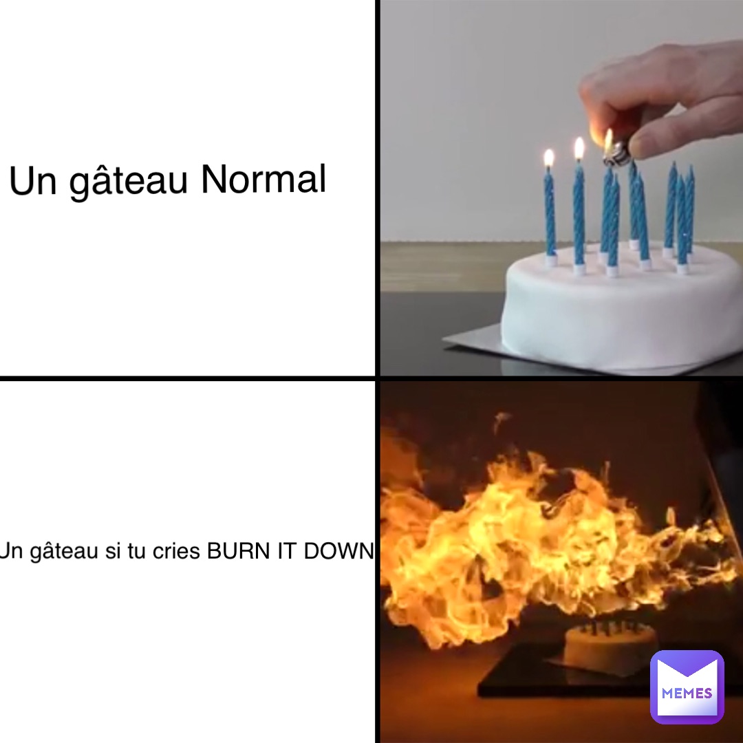 Un gâteau Normal Un gâteau si tu cries BURN IT DOWN | @Ckazukifa | Memes