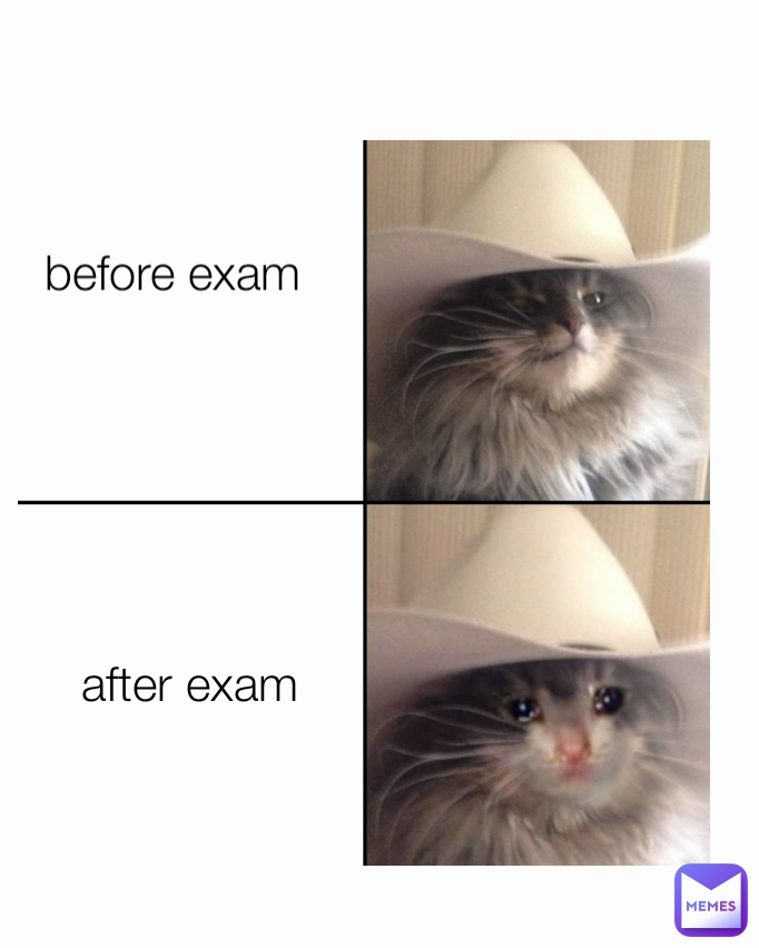 Before And After Exam Meme
