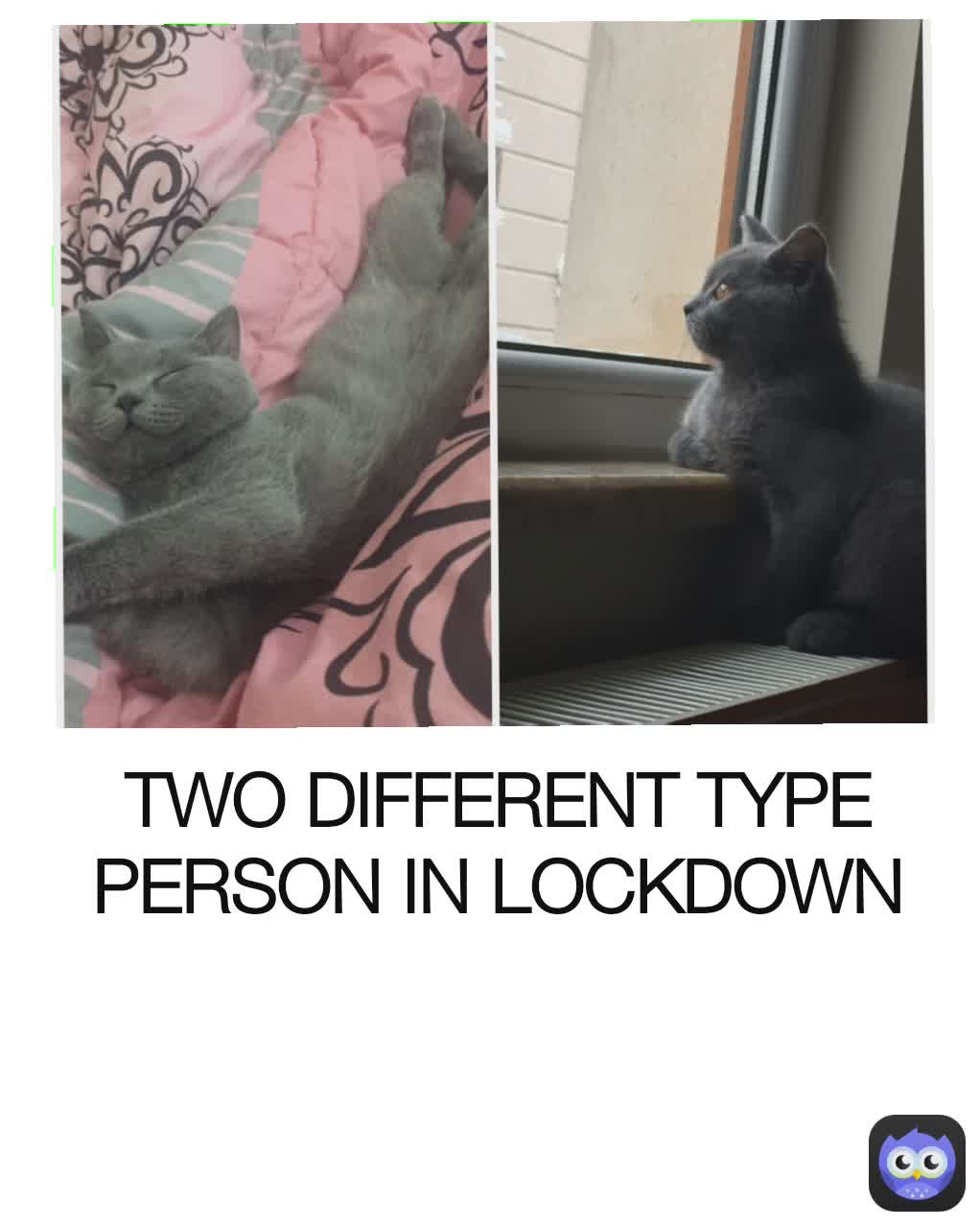 TWO DIFFERENT TYPE PERSON IN LOCKDOWN | @darkb7ue | Memes