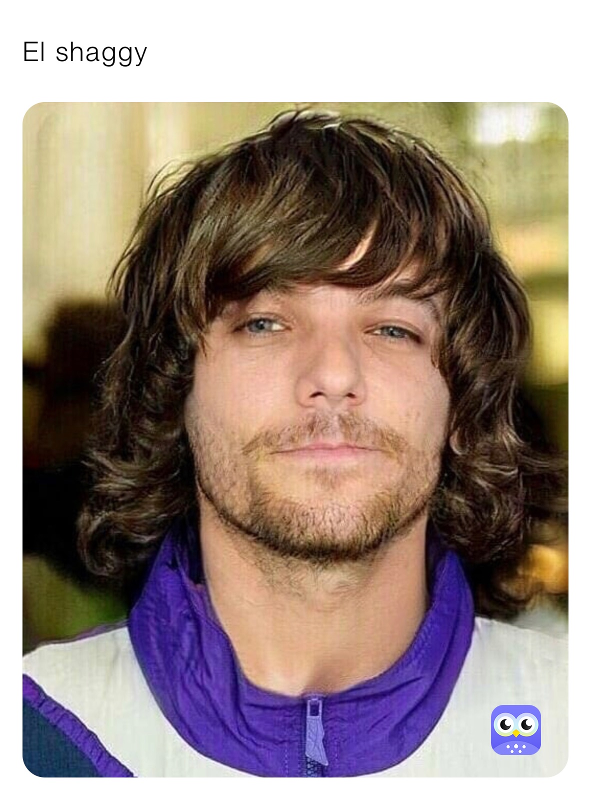 El shaggy | @Jarri.Estilos | Memes