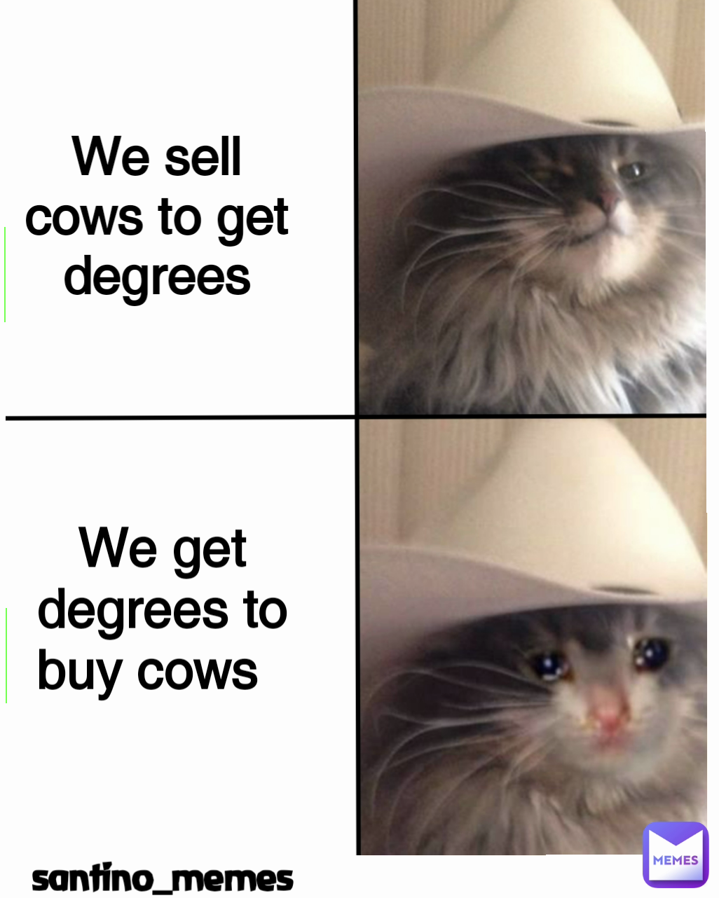 santino_memes | @Santino_Memes | Memes