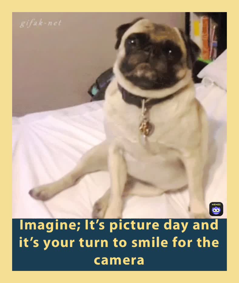 Imagine; It’s picture day and it’s your turn to smile for the camera ...