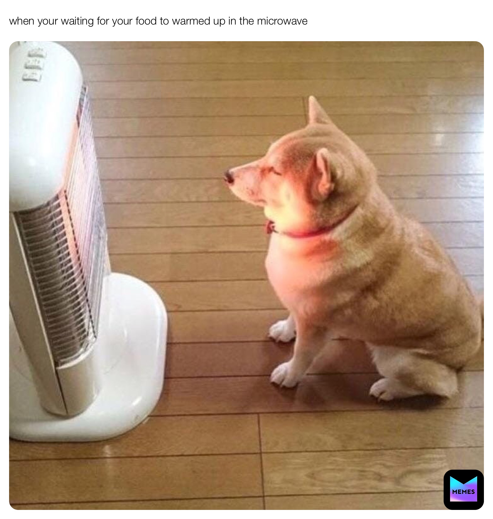 when your waiting for your food to warmed up in the microwave | @rubyyy ...