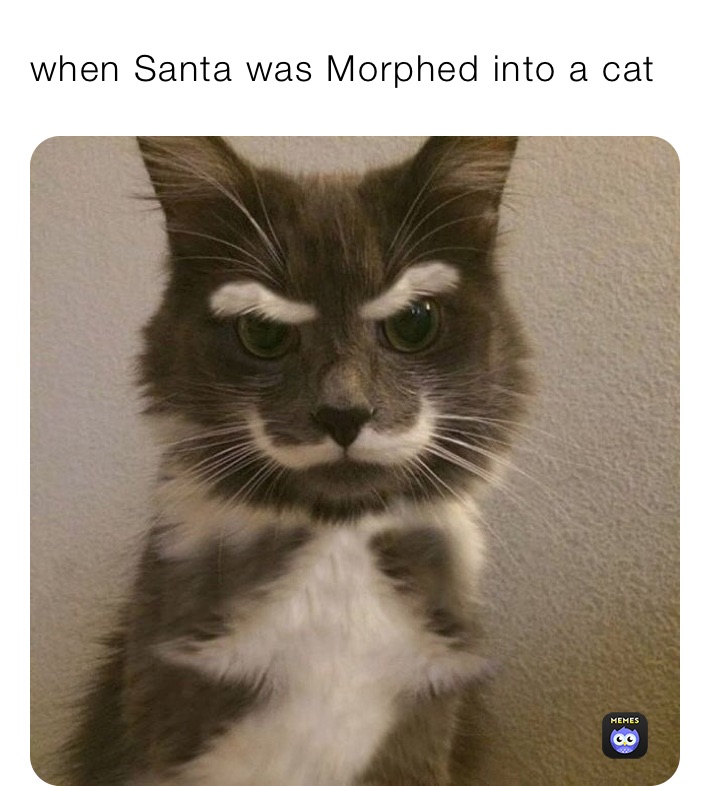 when Santa was Morphed into a cat | @meme_master210 | Memes