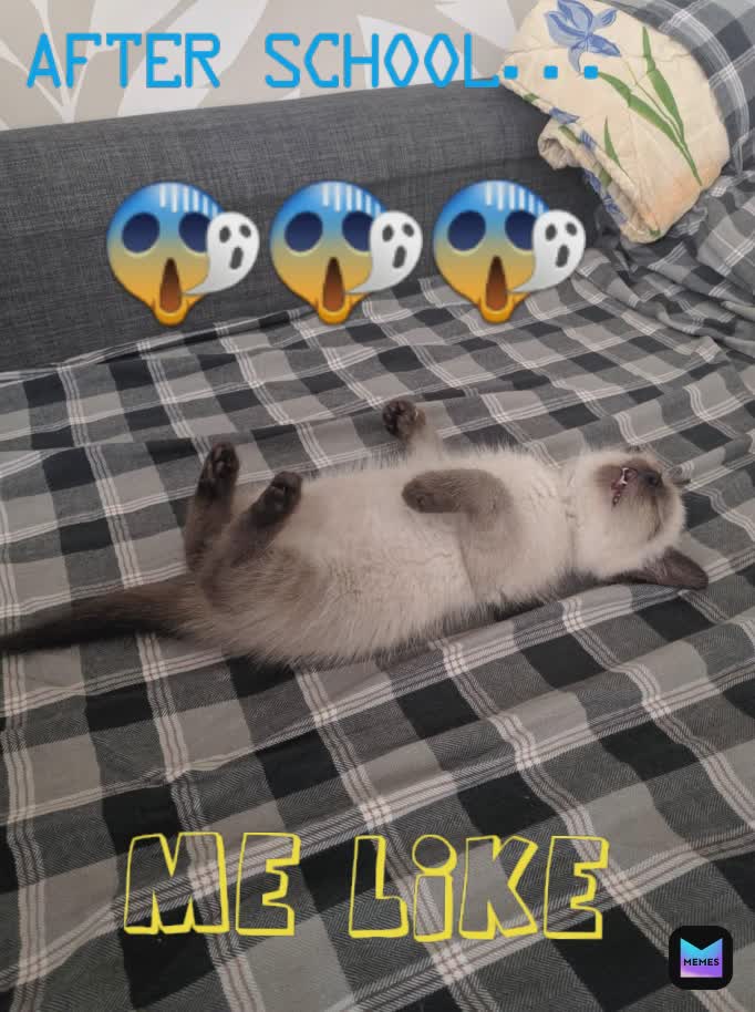 Post by @NANDI_03 | Memes