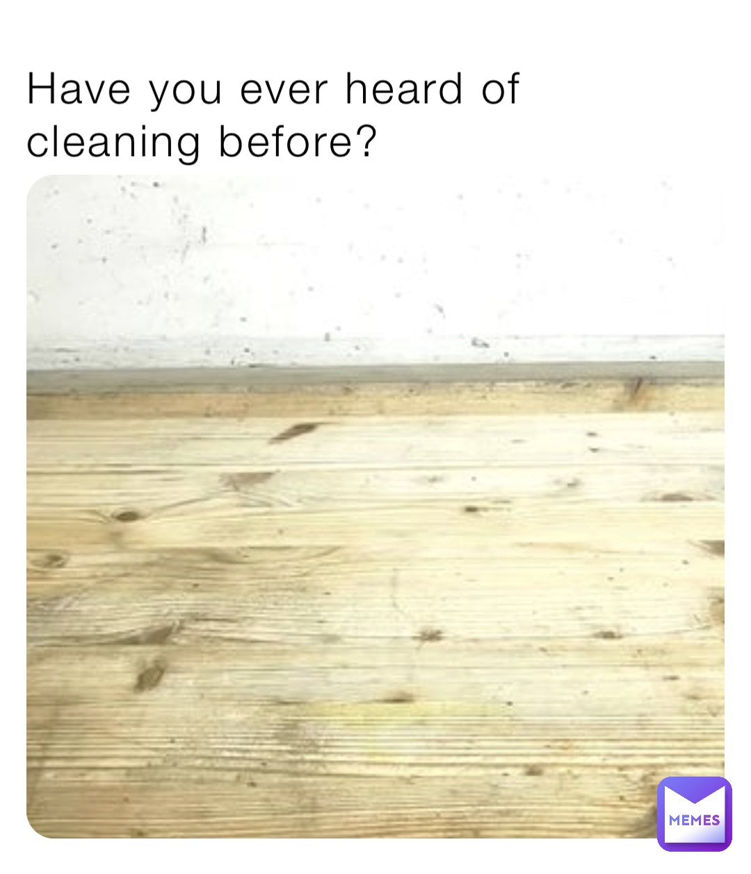 Have you ever heard of cleaning before? | @TheWildMemeHunter | Memes