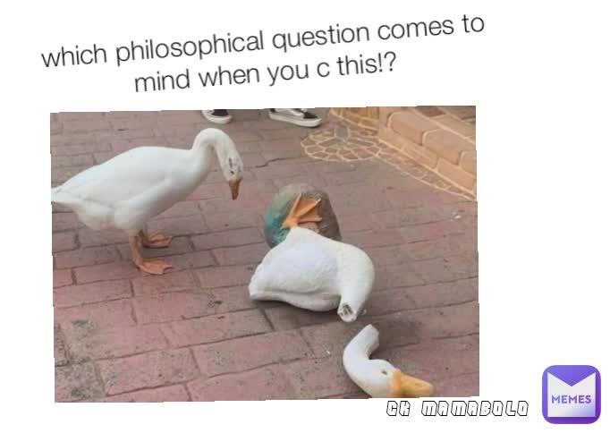 which philosophical question comes to mind when you c this!? CK ...