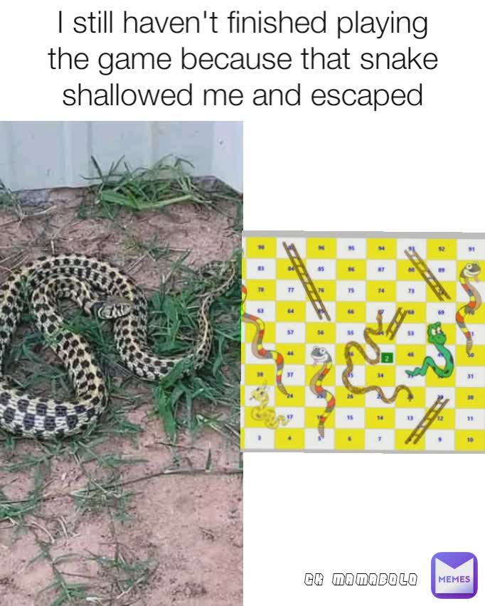 Type Text I still haven't finished playing the game because that snake ...