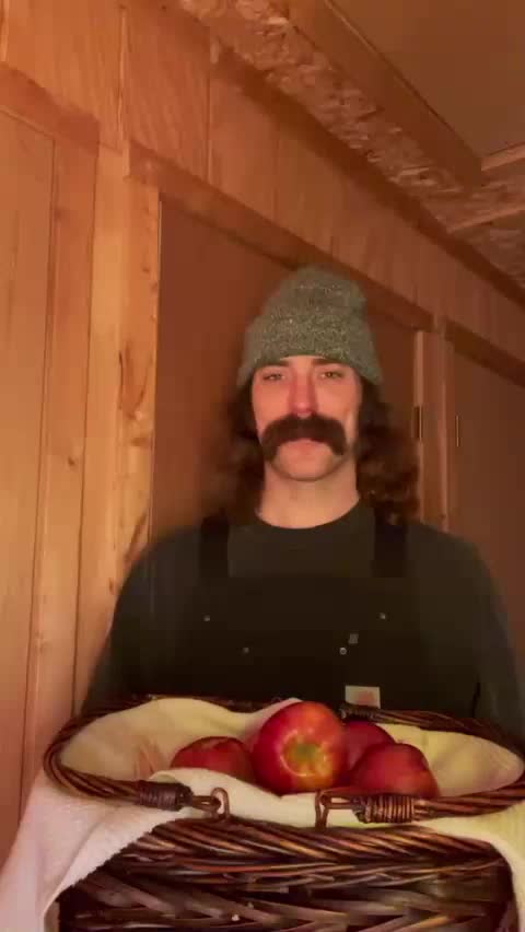 Post by @Zesty_Bean | Memes