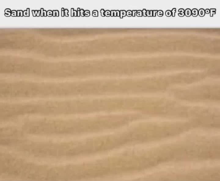 Post by @Zesty_Bean | Memes