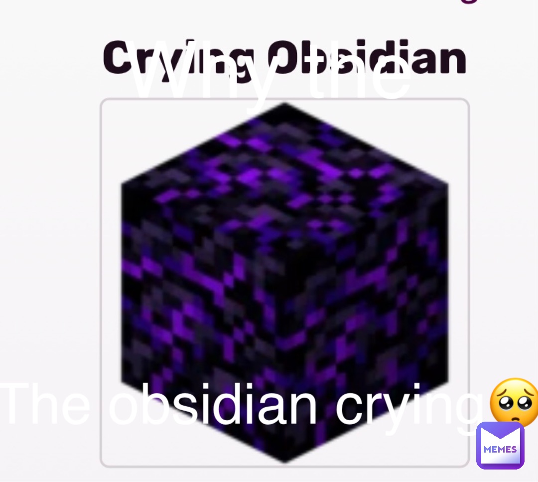 Why the The obsidian crying🥺 | @memes_of_our_time | Memes