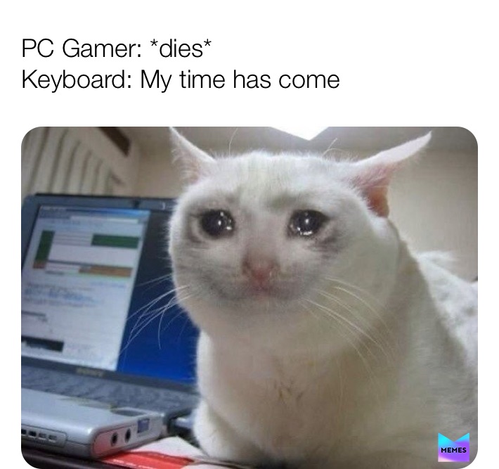 Post by @max_cleary | Memes