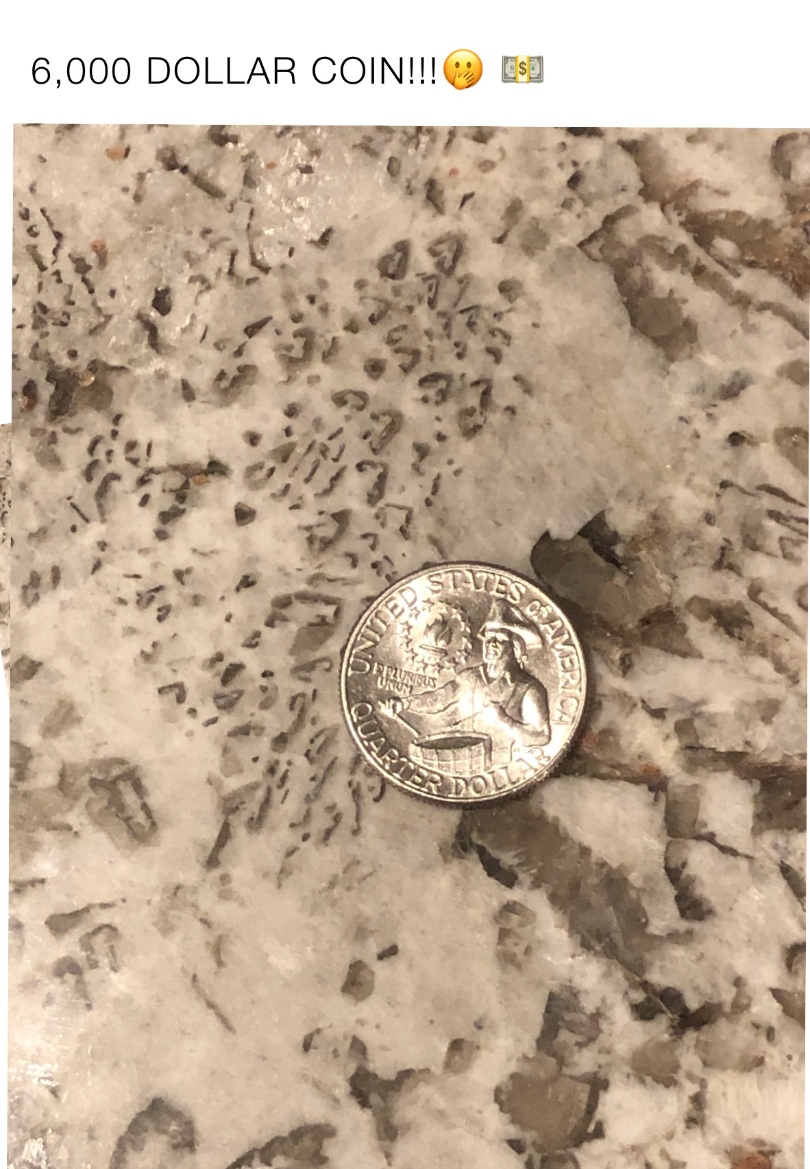 6,000 DOLLAR COIN!!!🤭 💵 | @memermann1059 | Memes