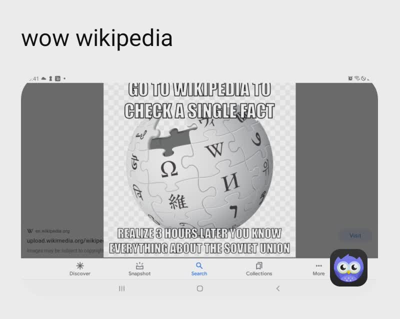 Post by @Wiki_Memes | Memes