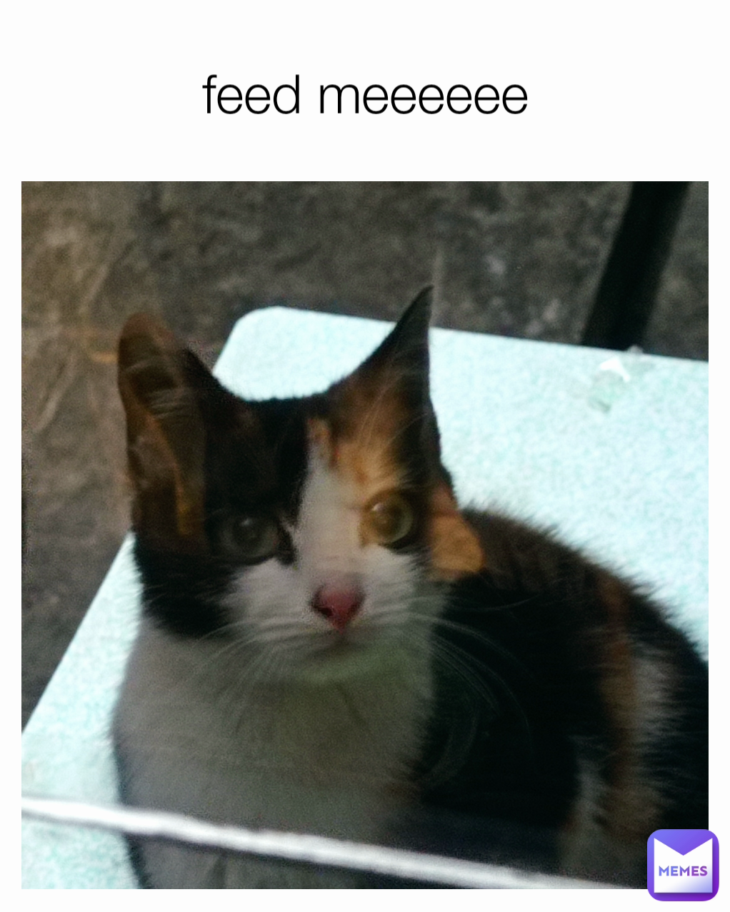 feed meeeeee | @LUKAMEMETUXUCESZOR | Memes