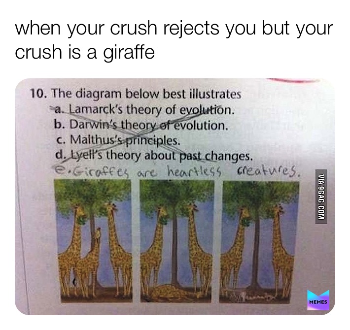 Post by @suspicious_soup | Memes