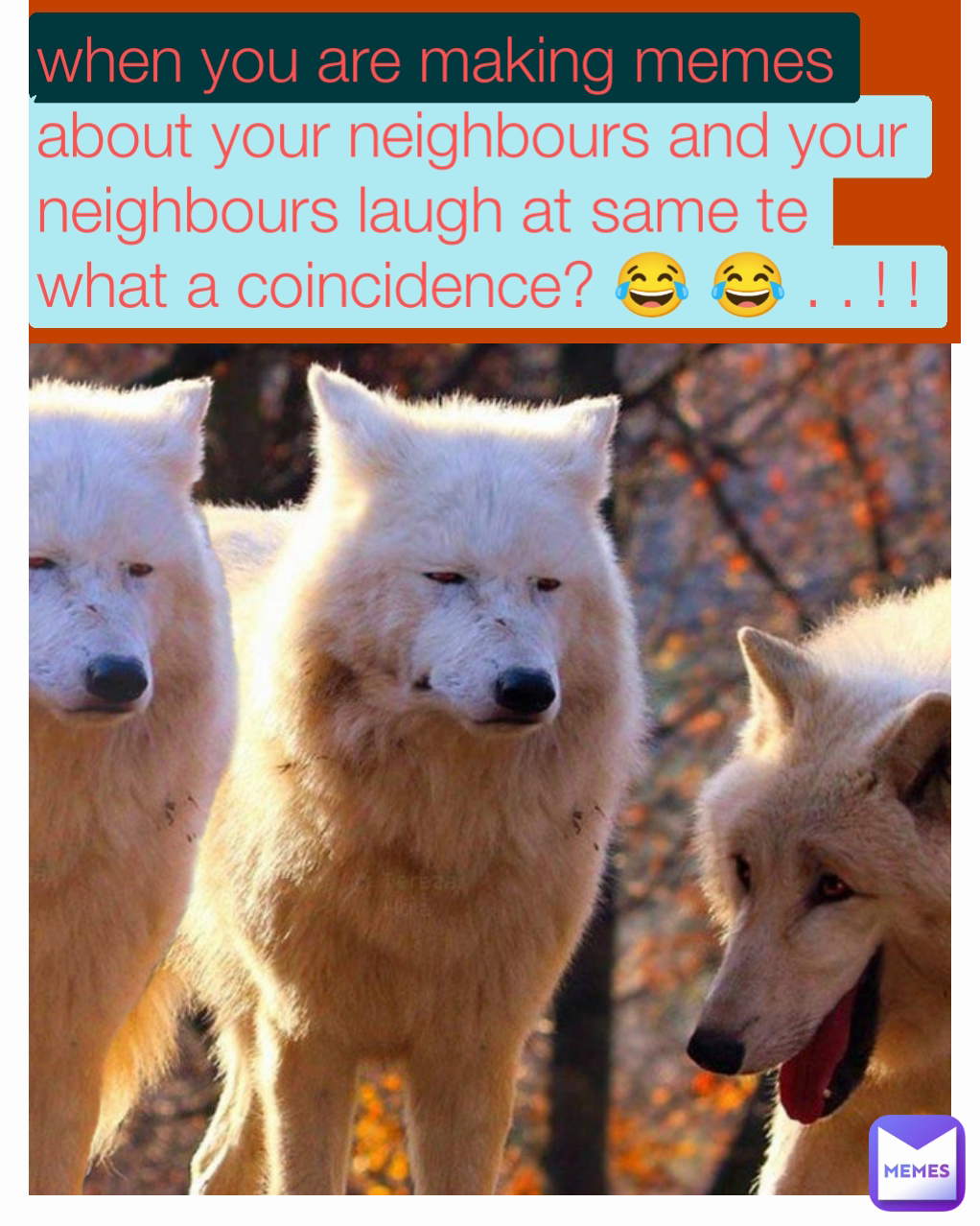 when you are making memes about your neighbours and your neighbours ...