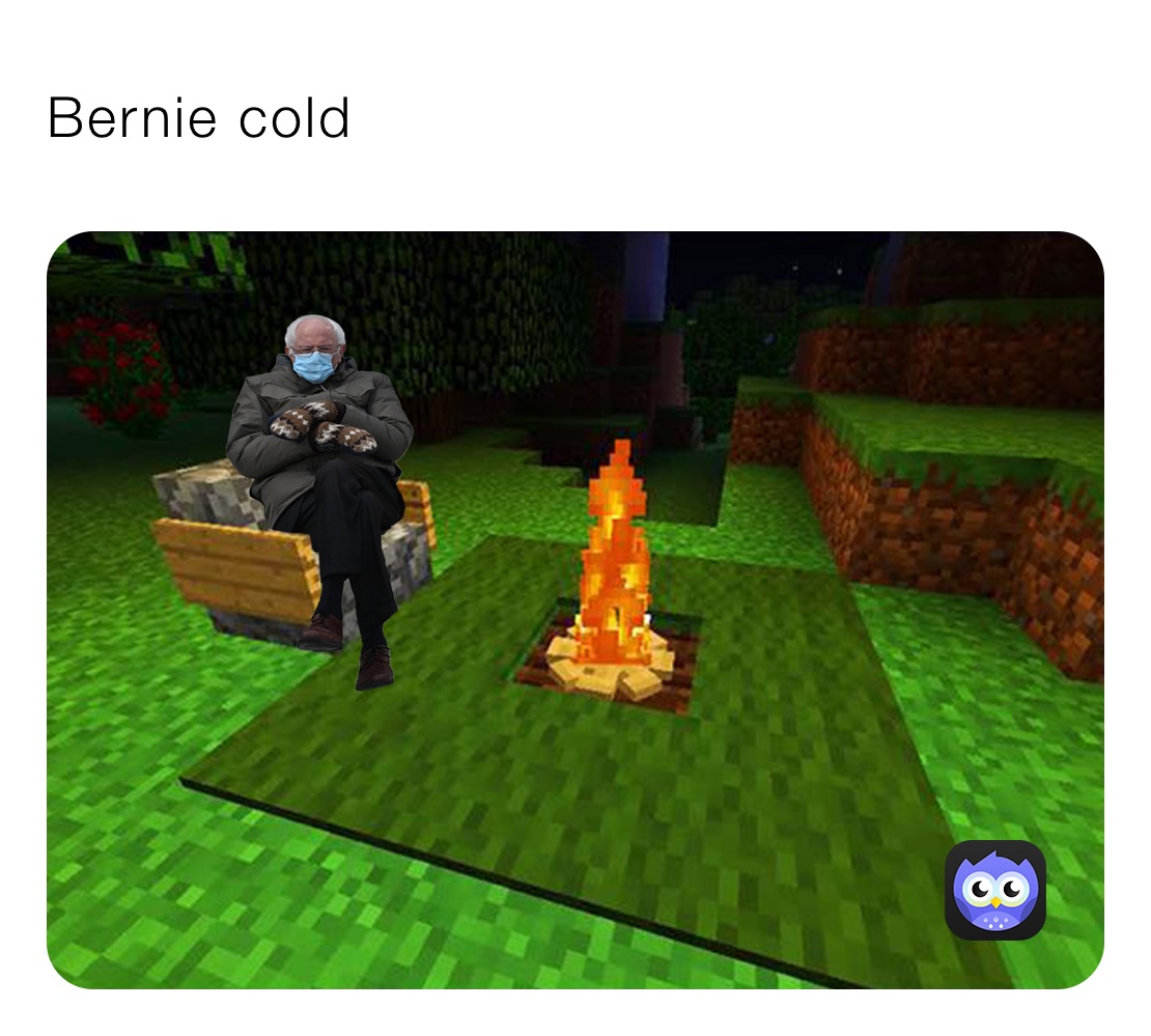 Bernie cold | @loulester45 | Memes
