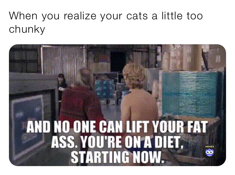 When you realize your cats a little too chunky | @lucas.myers3721 | Memes