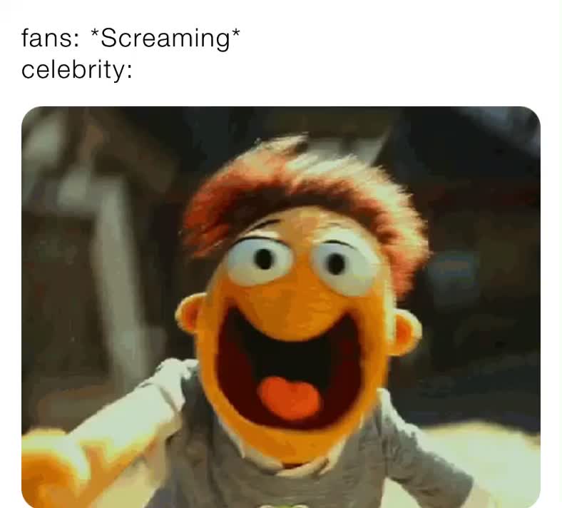 fans: *Screaming* celebrity: | @alfredolinguini | Memes