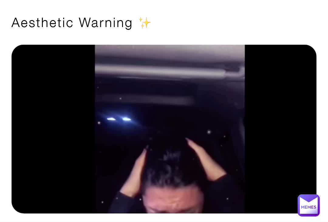 Aesthetic Warning | @ThatOneFunnyMemer1 | Memes