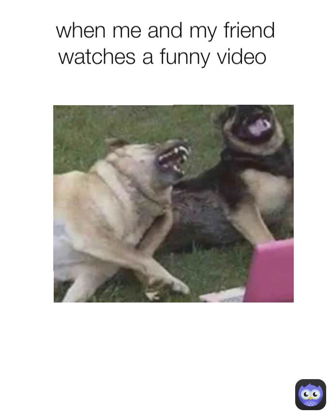 when me and my friend watches a funny video | @khloethebitch | Memes