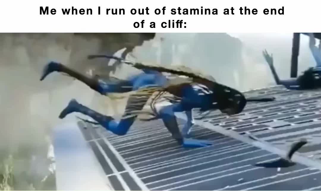 Me when I run out of stamina at the end of a cliff: | @memerdude109 | Memes