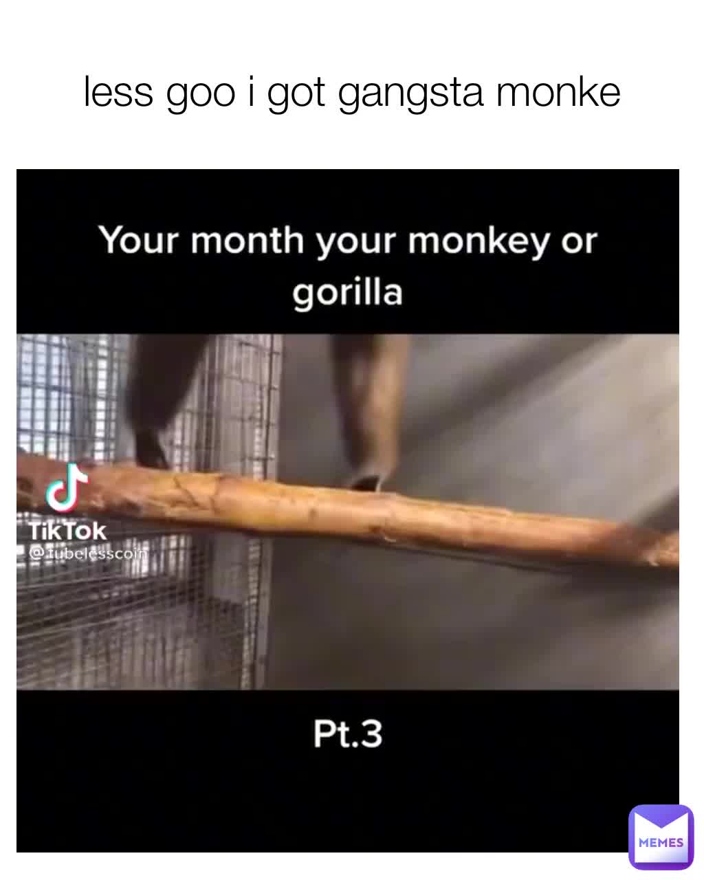 less goo i got gangsta monke | @viktormirga789 | Memes