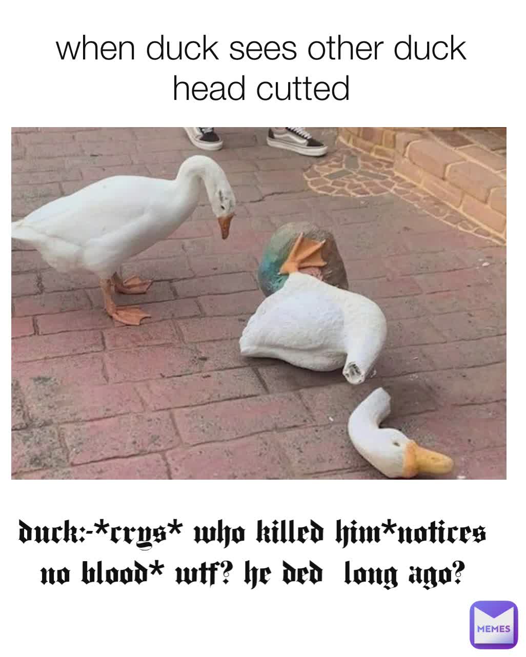 when duck sees other duck head cutted duck:-*crys* who killed him ...