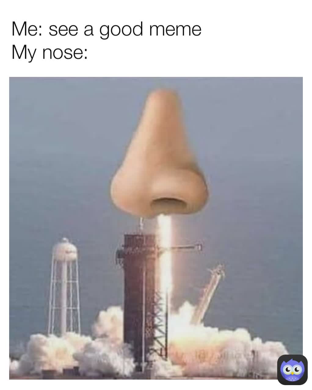 Me: see a good meme My nose: | @Massi.. | Memes