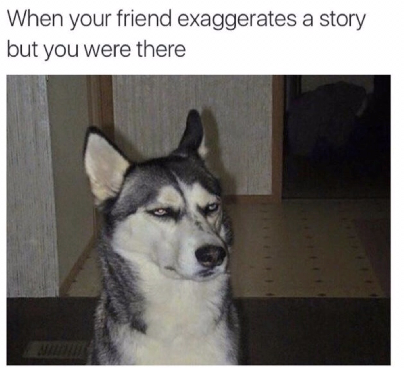 Post by @Voldy_No_Nose | Memes