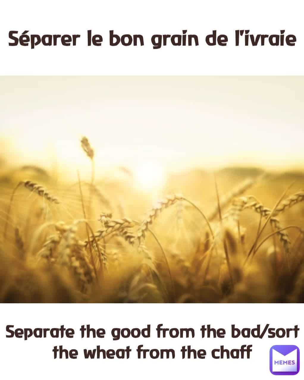 Separate the good from the bad/sort the wheat from the chaff Séparer le ...